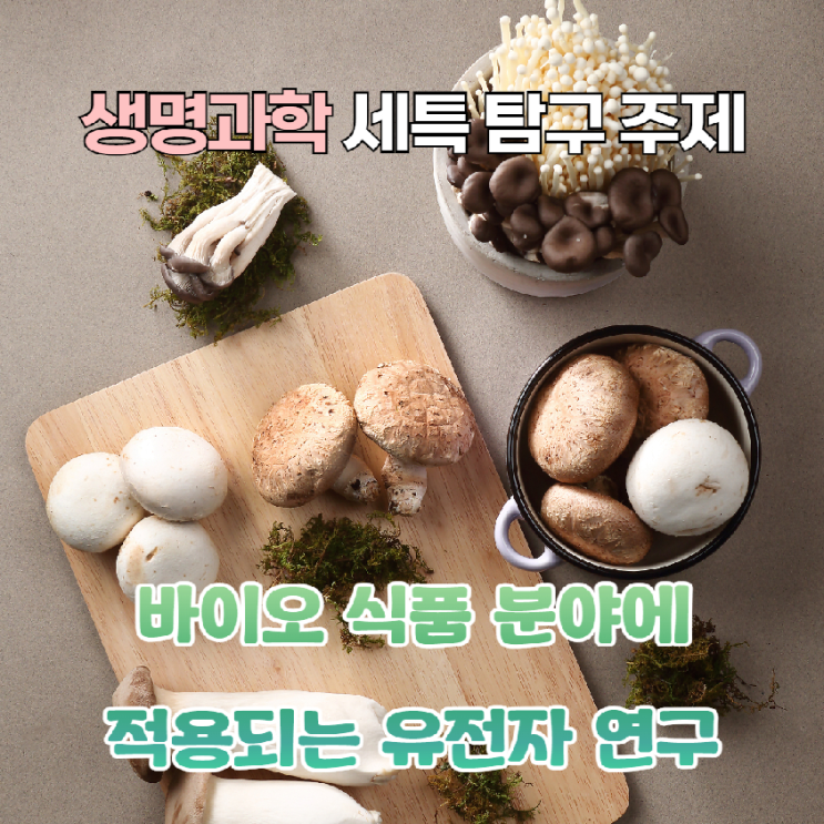 의학 생명 생명과학 세특 탐구 주제 바이오 식품 분야에 적용되는 유전자 연구 네이버 블로그