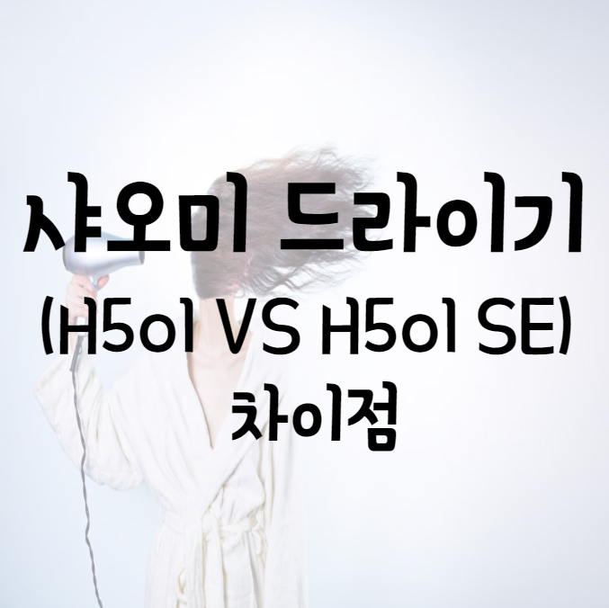 샤오미 드라이기 H501 VS H501 SE 차이점 : 네이버 블로그
