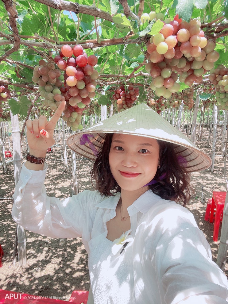 베트남 나트랑 여행 날씨 준비물 맛집 가이드맨 추천 : 네이버 블로그