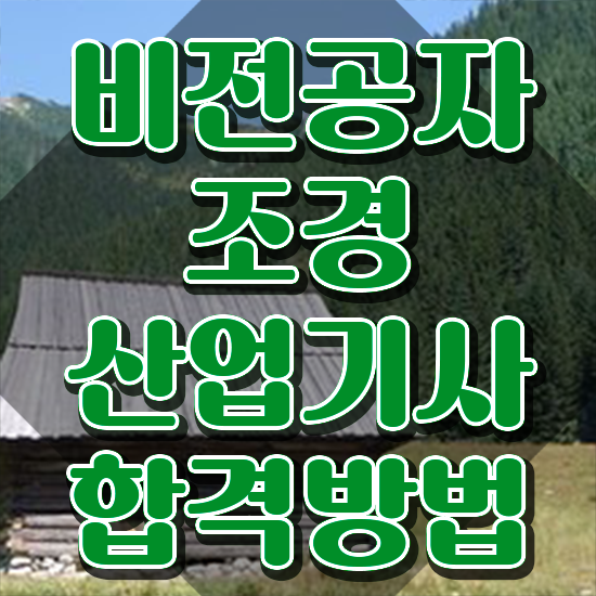 조경산업기사 시험일정 조경산업기사 응시조건 온라인으로 편하게 준비한 전략 네이버 블로그