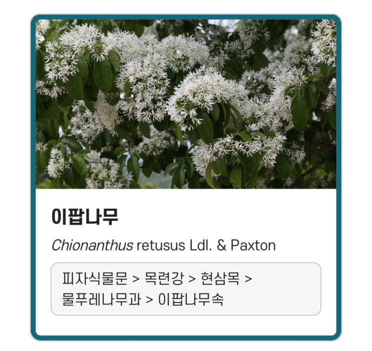 국가 기후변화 생물지표종 알기 : 네이버 블로그