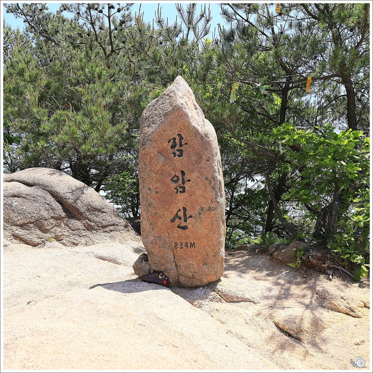합천 - 감암산(甘闇山) 834m (240518-19) : 네이버 블로그