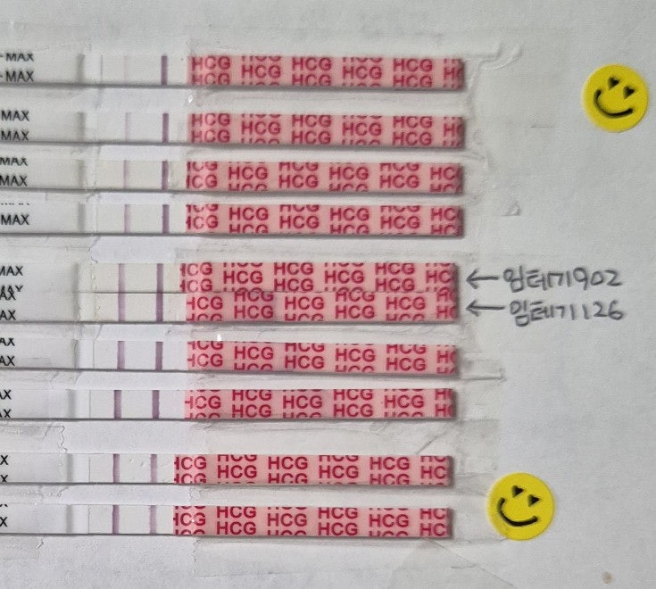 늦은 생리 임테기 시기진하기역전5주0일 아기집원포임테기 902불량 사용후기원포 126과 비교 네이버 블로그