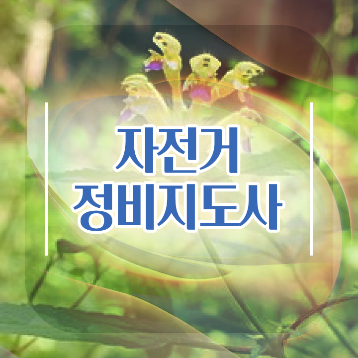 자전거분해정비 자전거정비지도사 자격증 준비한 방법 정리 네이버 블로그