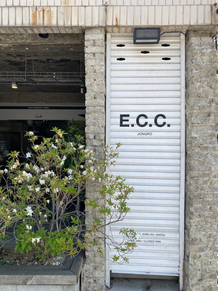 대구 종로 중앙로역 아침 일찍 오픈하는 카페, 이씨씨커피(ECC COFFEE) 에그타르트 추천해요 : 네이버 블로그