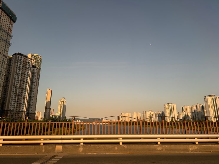 울산형사전문변호사 유영진 형법 제247조 도박개장죄 성립요건 홀덤펍 관련 변소의 법원판단 기준 등 네이버 블로그
