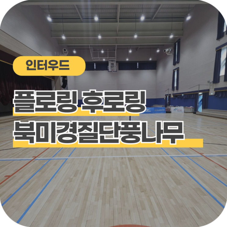 메이플 플로링 후로링 북미 경질단풍나무 학교 체육관 강당 바닥 군부대 교육청 공연장 등 네이버 블로그
