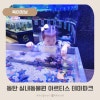동탄 아이와 가볼만한곳 두돌아기 이색체험 아르티스 테마파크 네이버 블로그