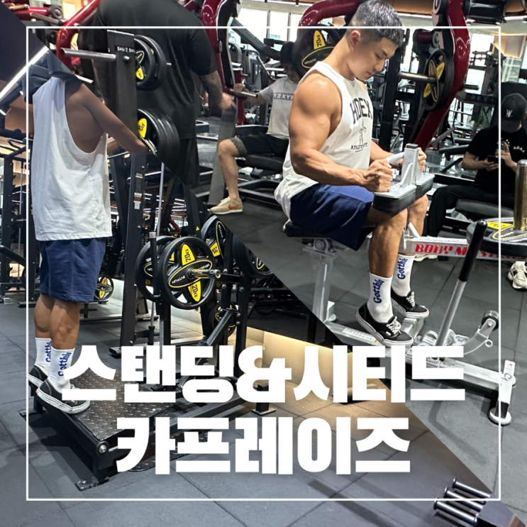 다산동헬스장 시티드 카프레이즈와 스탠딩 카프레이즈의 차이 네이버 블로그