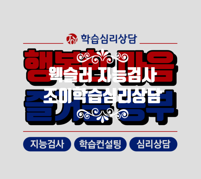 파주 일산 차별화된 학습컨설팅과 웩슬러 지능검사 조이학습심리상담센터 상담후기 네이버 블로그