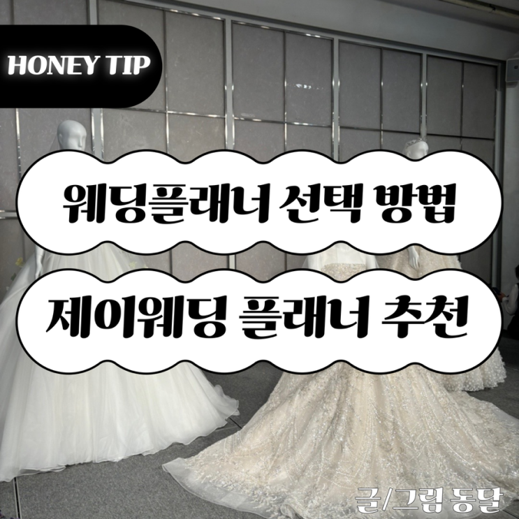 25년 결혼 예비신부의 제이웨딩 웨딩플래너 추천 웨딩플래너 업체 선택 방법 네이버 블로그