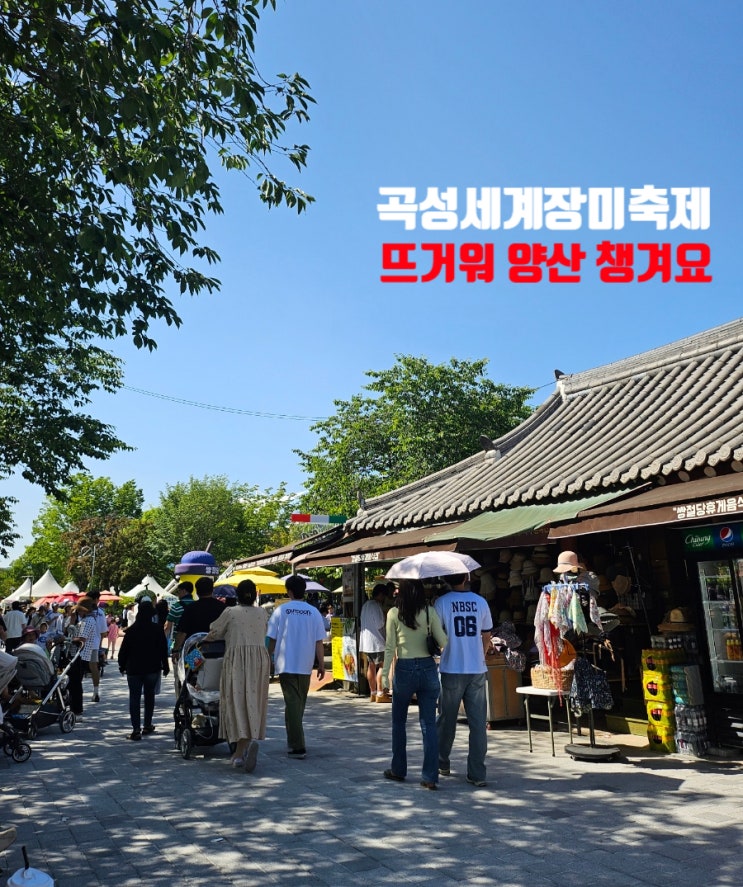 곡성세계장미축제 장미꽃 만발 레일바이크 타며 화창한 날씨 더워서 힘든 곡성 기차마을 네이버 블로그