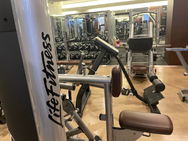 광화문 헬스장 광화문 최고의 명품기구 맛집라이프 피트니스사이벡스짐80프리코어헬스장 네이버 블로그