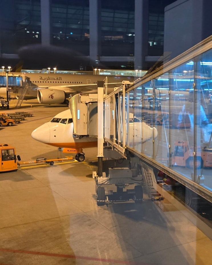 제주항공 인천-방콕 7C 2205 / 방콕-인천 7C 2204편 , 제주항공 비즈니스 라이트 탑승 후기 : 네이버 블로그