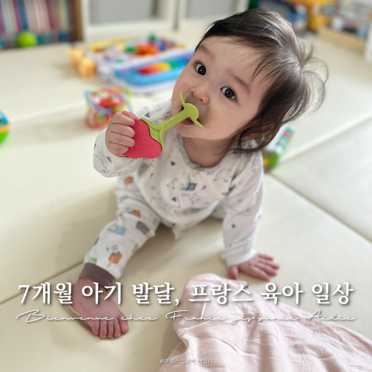 7개월 아기 발달 앉기 둘째의 장난감 쪽쪽이 프랑스 퓨레 이유식 육아 일상 네이버 블로그