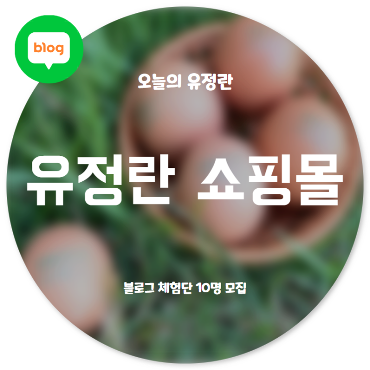 오늘의 배송 닭이 행복할 수 있도록 모두가 건강할 수 있는도록 오늘의 유정란 쇼핑몰 리뷰어 모집 네이버 블로그