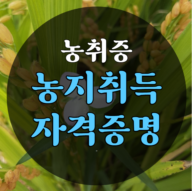 농취증 발급방법농지취득자격증명원 신청 방법과 농지법 제8조 규정이 적용되는 농지란 네이버 블로그
