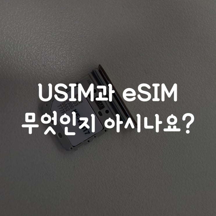 USIM과 eSIM 무엇인지 아시나요? : 네이버 블로그
