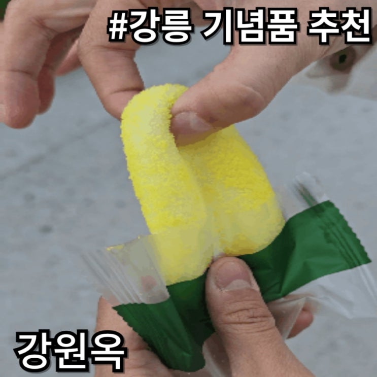 내돈내산 강릉 여행 기념품 추천 순두부 찹쌀떡과 강릉샌드 강원옥 네이버 블로그
