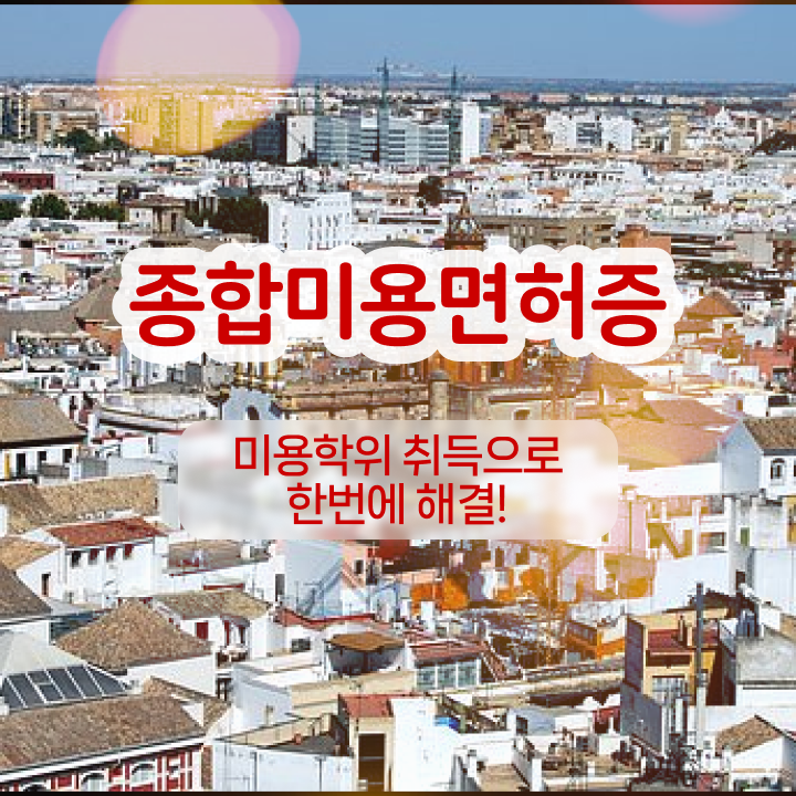반영구눈썹 문신 눈썹 반영구 준비 시작할 때 합격해야 하는 자격증 인강만 듣고 미용면허증 쉽고 빠르게 네이버 블로그