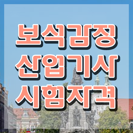 보석감정산업기사 자격 요건 보석감정산업기사 시험응시조건 집에서 온라인으로 간편하게 완료한 후기 네이버 블로그