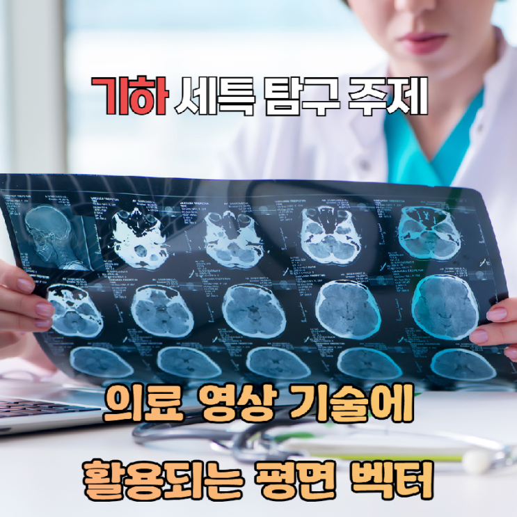 의학 생명 기하 세특 탐구 주제 의료 영상 기술에 활용되는 평면 벡터 네이버 블로그