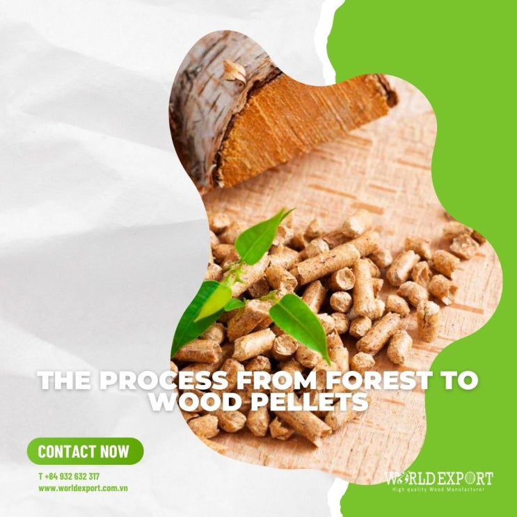 THE PROCESS FROM FOREST TO WOOD PELLETS : 네이버 블로그