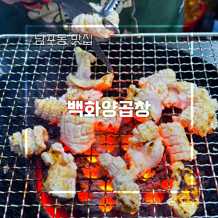 전현무계획 부산 양곱창 남포동 백화양곱창 노포 맛집 내돈내산 후기 네이버 블로그