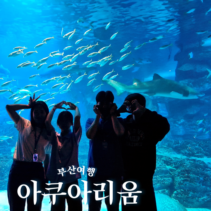 해운대 아이와 가볼만한곳 씨라이프 부산 아쿠아리움 할인 레고 브릭맨 인어공주 시간 네이버 블로그