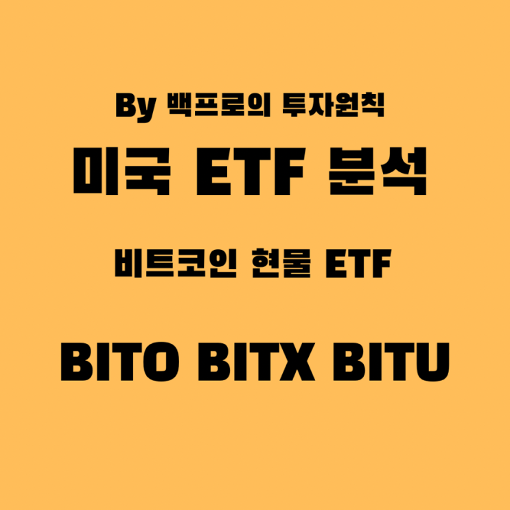 065. 미국 ETF 분석 - 비트코인 ETF - BITO BITX BITU 비교 및 추천 : 네이버 블로그
