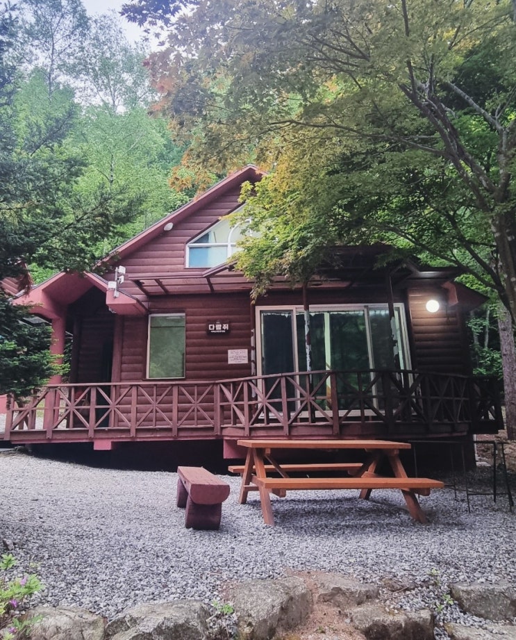 245 원주 치악산자연휴양림 10인실 다람쥐방 후기 제물포해물칼국수 하나로마트 원주원예농협본점 네이버 블로그