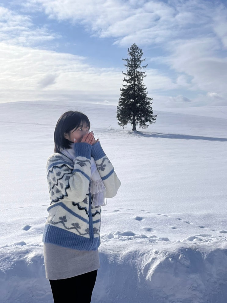 [훗카이도 혼자 일주일 여행] 2일차 : 내가 비에이를 ! 🌲 / 겨울 비에이투어후기 내돈내산추천 비에이 크리스마스 트리 삿포로 나홀로트리 닝구르테라스 : 네이버 블로그