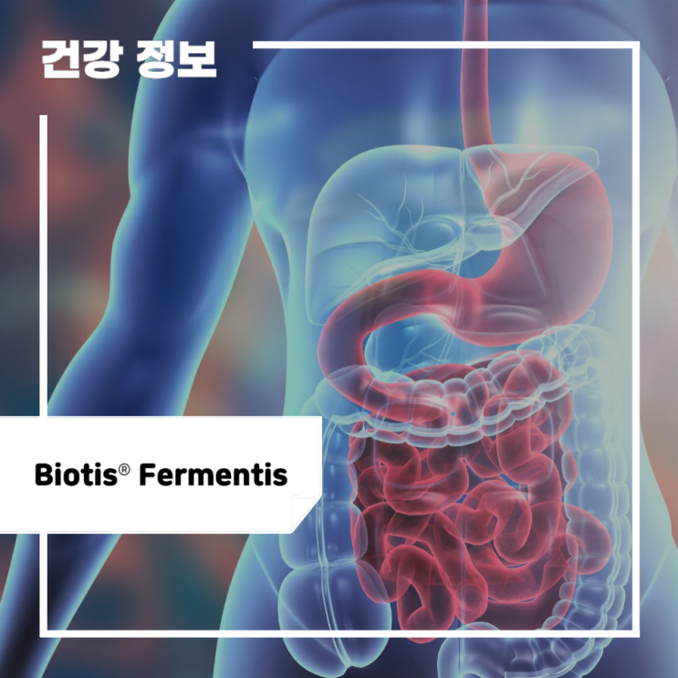 새로운 접근 방식의 장건강 솔루션 유청 단백질 프리바이오틱스 프로바이오틱스를 함께 발효시키다 네이버 블로그