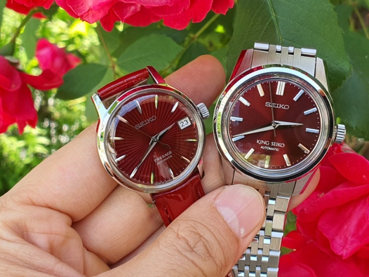 장미 ☆ [KING SEIKO RED🌹] : 네이버 블로그