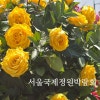 2024 서울 국제정원박람회 뚝섬한강공원 서울가볼만한 곳 네이버 블로그
