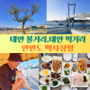 안면도 백사장항 수산시장 태안 볼거리먹거리 드르니항 꽃게다리 네이버 블로그
