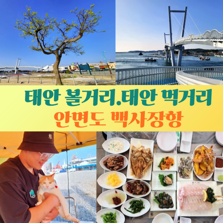 안면도 백사장항 수산시장 태안 볼거리먹거리 드르니항 꽃게다리 네이버 블로그