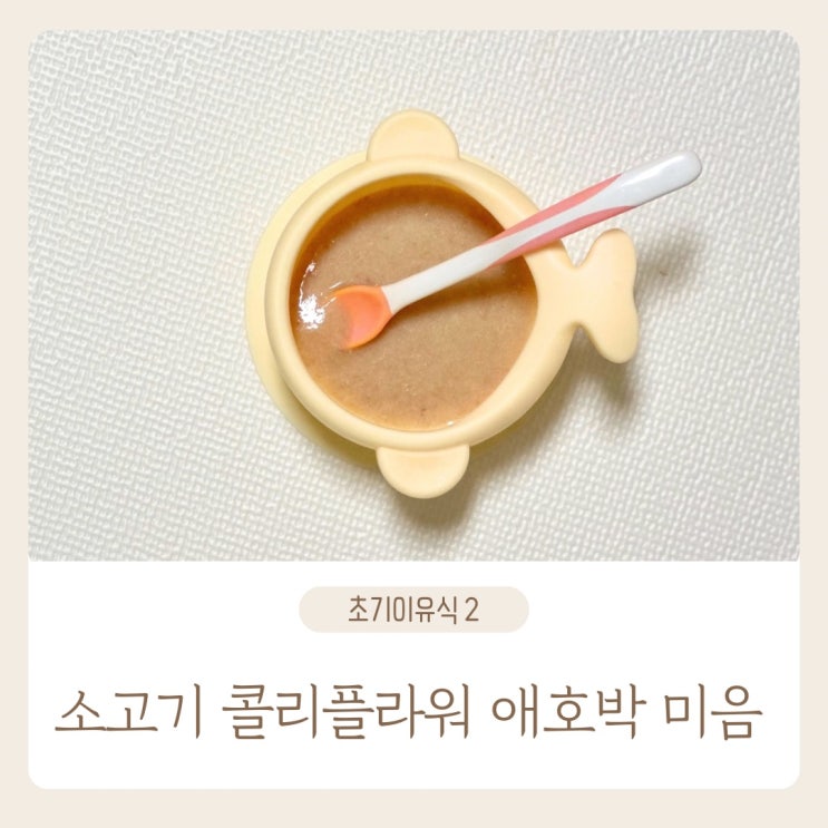 초기이유식레시피 2단계 소고기콜리플라워애호박미음 효능 불린쌀 8배죽 이유식마스터기 베이비무브 네이버 블로그