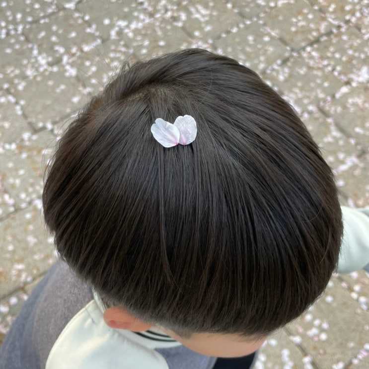 제제네 육아일기(+1630-1636days), 53개월 아기 일상 / 헬로카봇 로드세이버 / 예방접종 / 선거 연휴 / 주말 ...