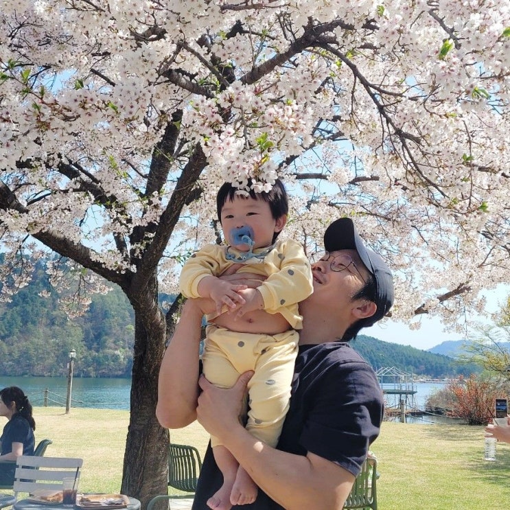 경기도가평 아이랑 함께 가기 좋은 마당넓은 카페 코미호미 네이버 블로그