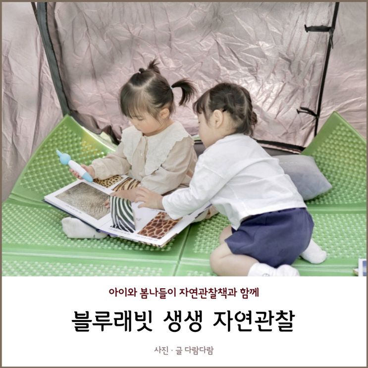 아이와 봄나들이 블루래빗 자연관찰과 함께 해요 네이버 블로그