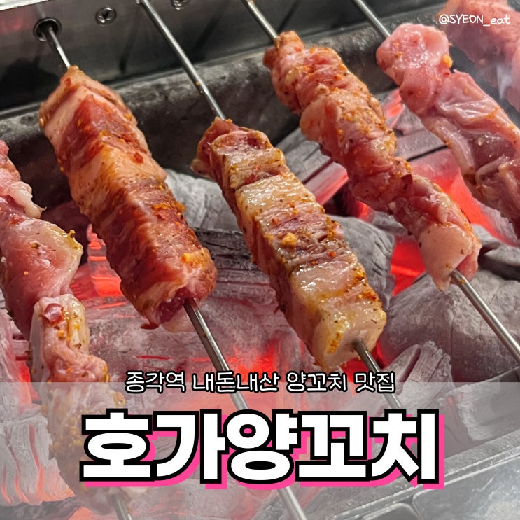 서울종각역 내돈내산 종로 양꼬치 맛집 호가양꼬치 양꼬치 옥수수냉면 네이버 블로그