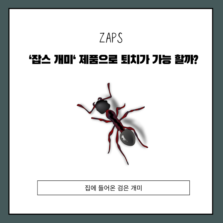 개미 퇴치 첫 시도 잡스(ZAPS) 개미 제품 사용 후기 : 네이버 블로그
