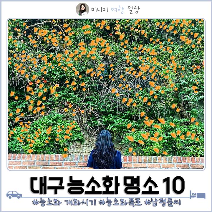 대구 능소화 개화시기 명소 폭포 카페 10 달성군 중구 남구 서구 북구 동구 수성구 네이버 블로그