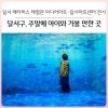 달서구 가볼 만한 곳 이번 주말에 아이랑 어디가지 달서 메타버스 체험관 미디어아트·달서아트센터 전시 보러 가요