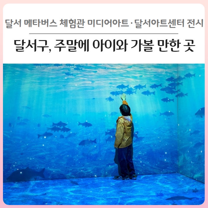 달서구 가볼 만한 곳 이번 주말에 아이랑 어디가지 달서 메타버스 체험관 미디어아트·달서아트센터 전시 보러 가요