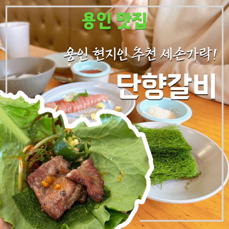 용인 기흥 맛집 단향갈비 내돈내산 현지인추천 고기집 네이버 블로그