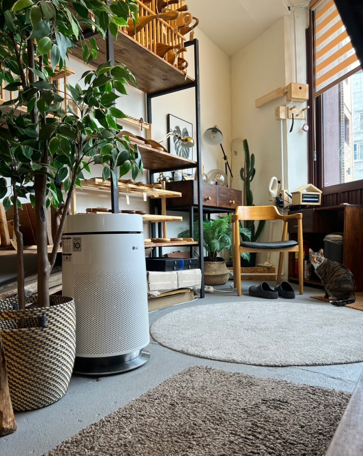 [진주]2024공예주간 공방체험_wood studio OKKUN/옥쿤 우드카빙 : 네이버 블로그