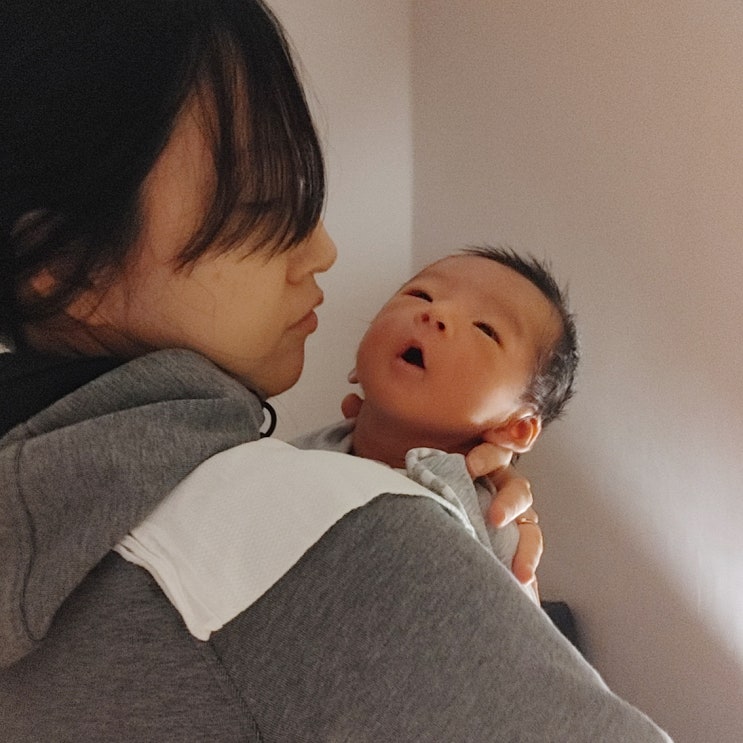 산후조리원 필수 조리원 안가고 집에서 조리한 썰 W준비할 것들 네이버 블로그