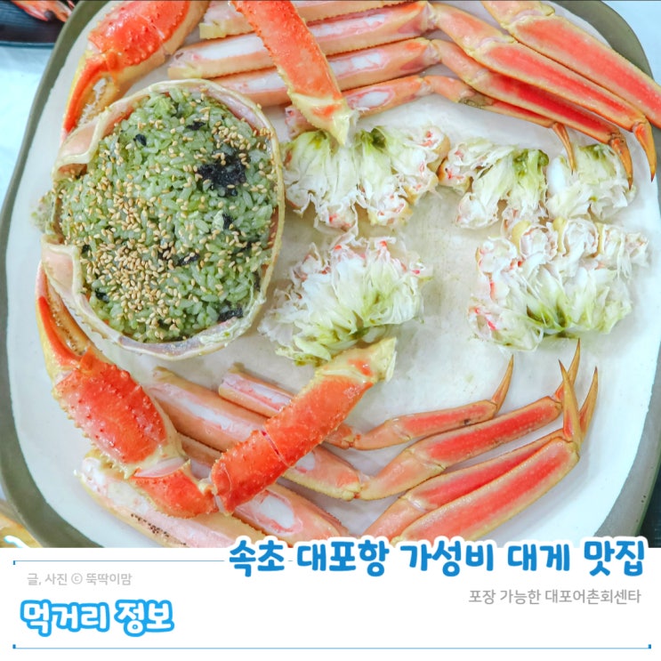 속초 대포항 대게 맛집 대포어촌회센타 가성비에 포장까지 가능 네이버 블로그